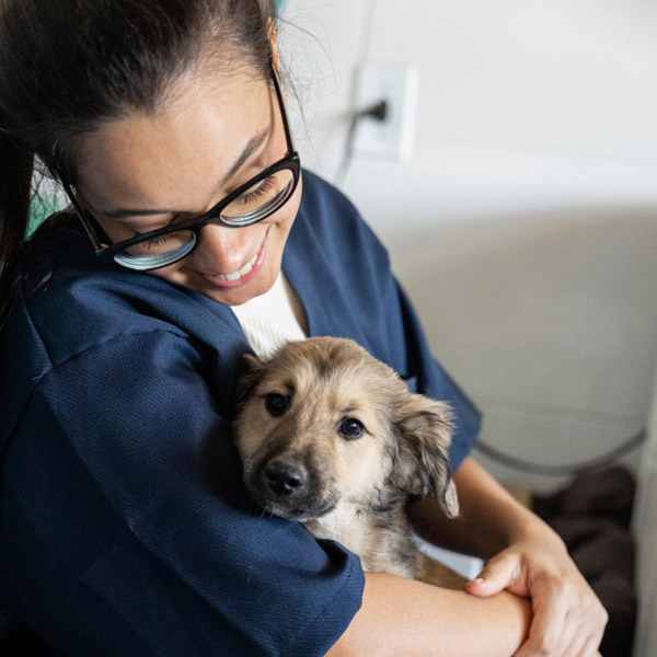 Home | Foresters Financial | US